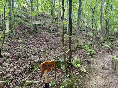 Big Canoe Creek Nature Preserve: New Park in Springville, AL