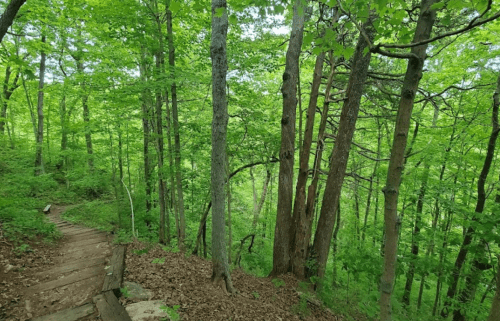One Of The Best Waterfall Trails Is In Radcliff, Kentucky