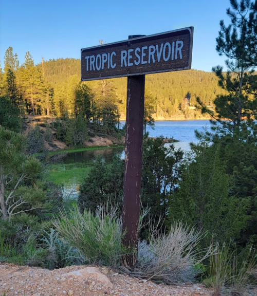 Tropic Reservoir: Most Underrated Fishing Spot In Utah