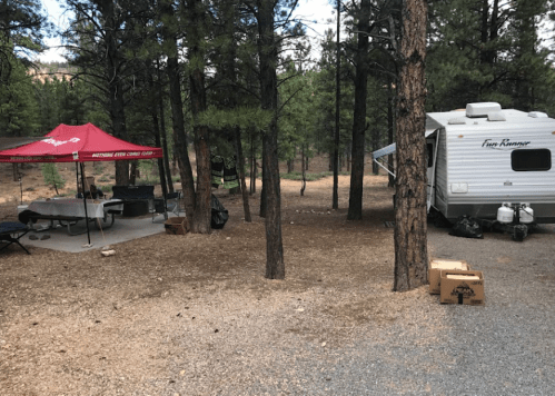 Tropic Reservoir: Most Underrated Fishing Spot In Utah