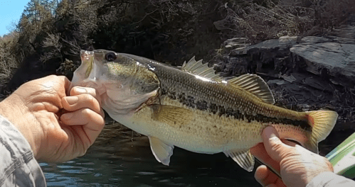 Glover River Is A Little Known Fishing Spot In Oklahoma