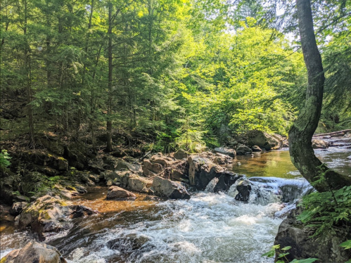 This Remote Waterfall In Michigan Will Take Your Breath Away