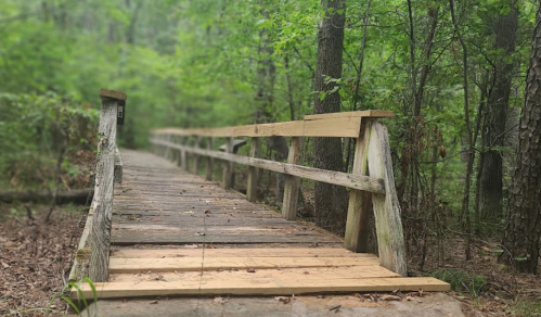 Kerr Nature Center Has A Beautiful Hiking Trail In Oklahoma