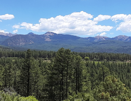 Mancos State Park Is A Hidden Gem In Colorado Worthy Of A Visit