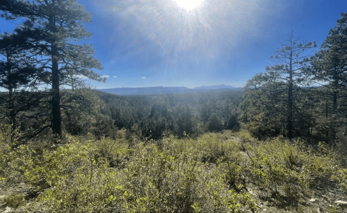 Mancos State Park Is A Hidden Gem In Colorado Worthy Of A Day Hike And More