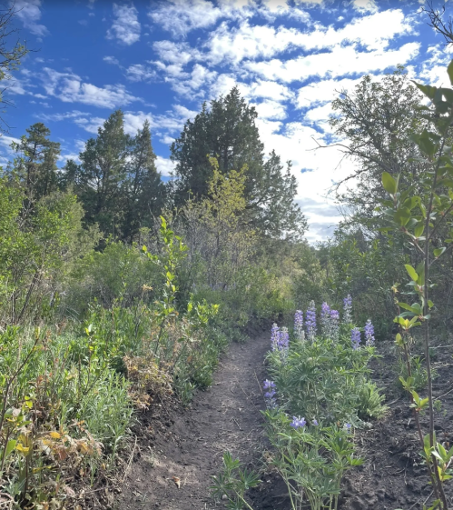 Mancos State Park Is A Hidden Gem In Colorado Worthy Of A Visit