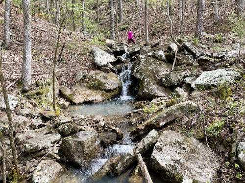 Best Day Hike In Arkansas: Bluffton Preserve In Clinton