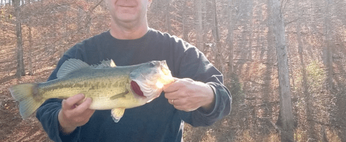 Elk Fork Lake: Good Bass Fishing In West Virginia