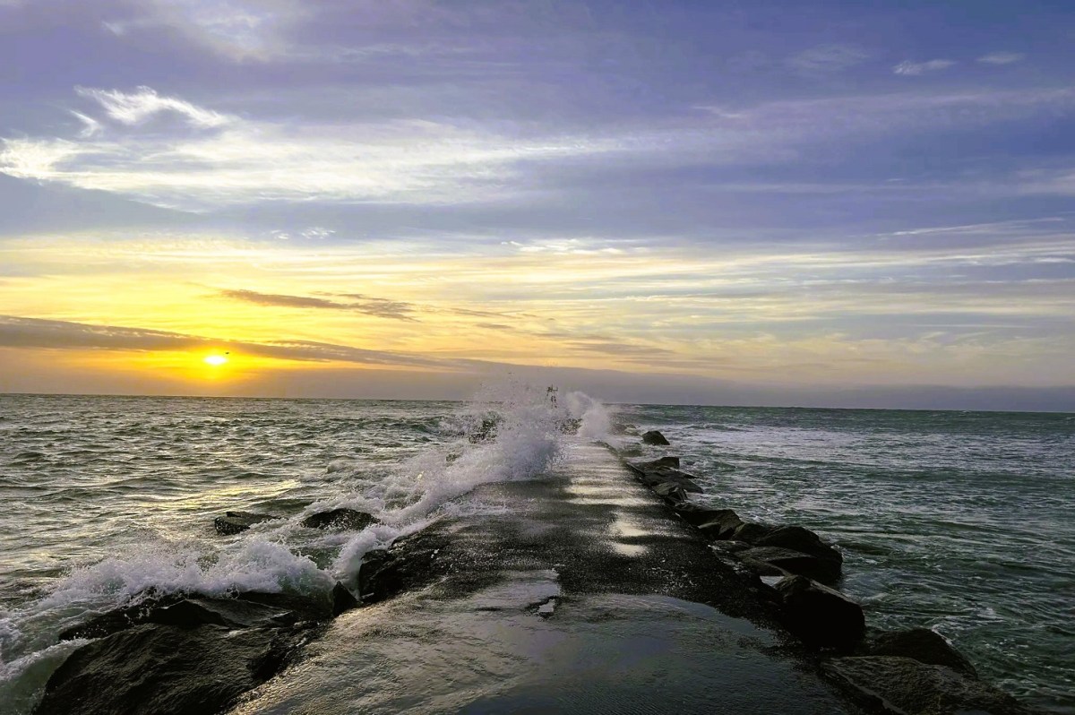 Best Road Trips in South Carolina: 11 Road Trips + Itinerary
