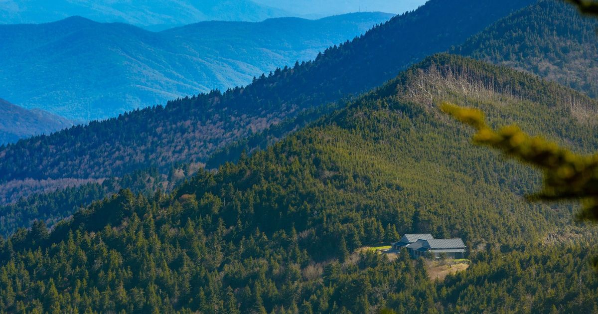 Visit The Newly-Reopened Mount Mitchell Restaurant