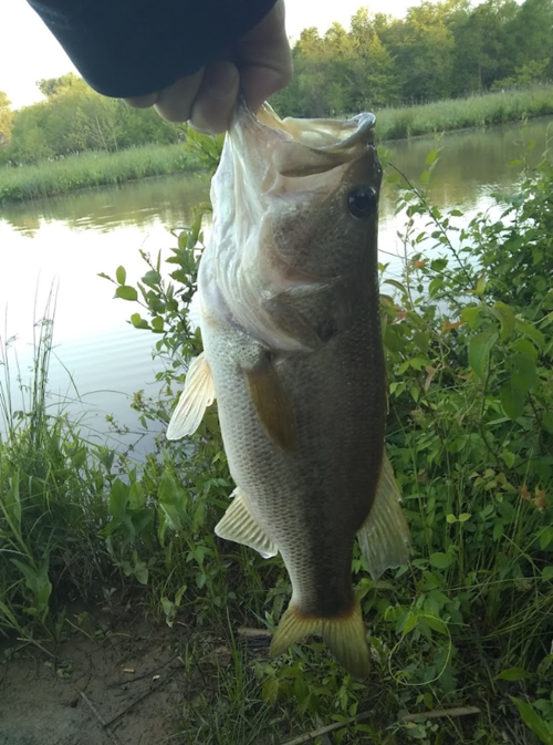 An Underrated Fishing Spot In South Carolina: Tygerberry Landing