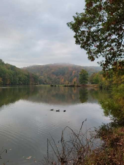 The Incredible Road Trip Through West Virginia That Leads You To 6 ...