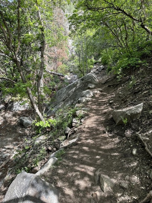 Lisa Falls Trail: Waterfall Hike In Utah