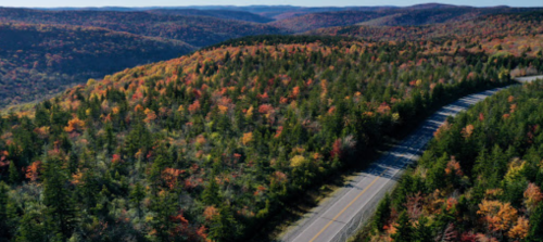 Williams River Valley Overlook Is A Scenic View In West Virginia