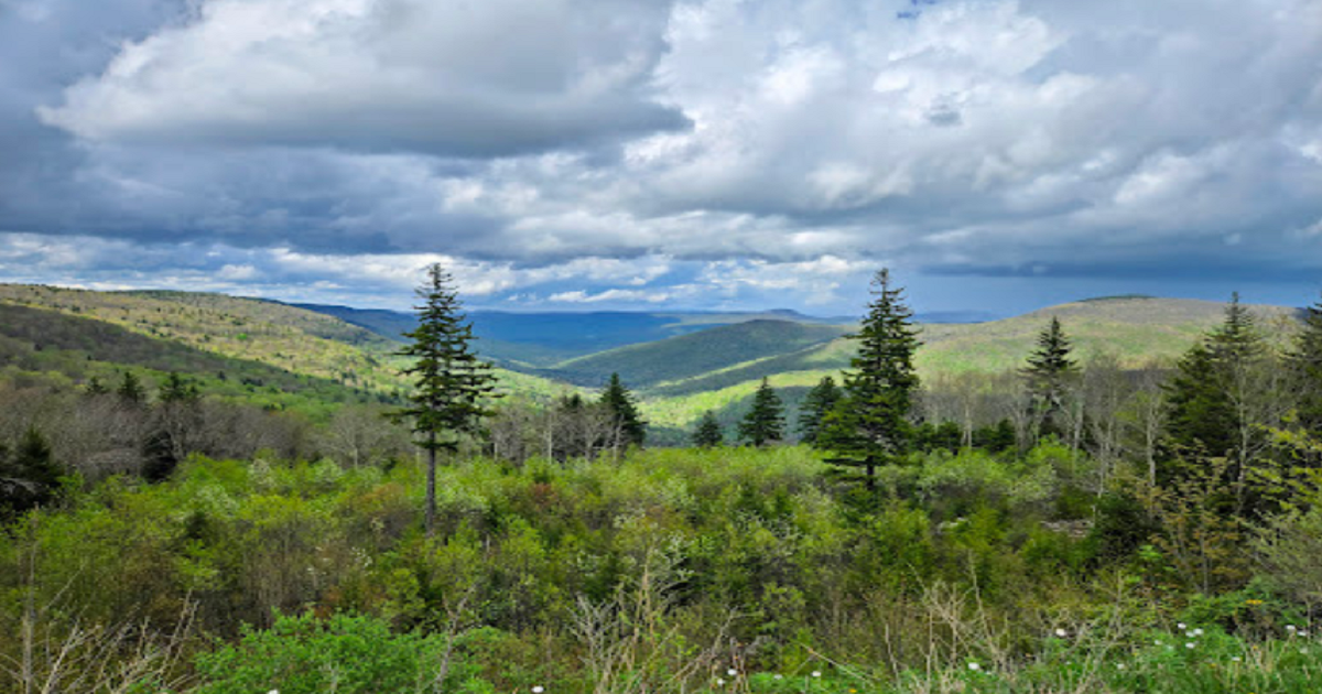 Perched Above Williams River Valley, This Overlook Is One Of The Best ...
