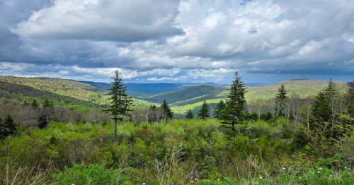 Williams River Valley Overlook Is A Scenic View In West Virginia