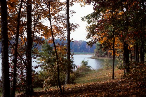 The 15 Best Things To Do In Indiana In The Fall