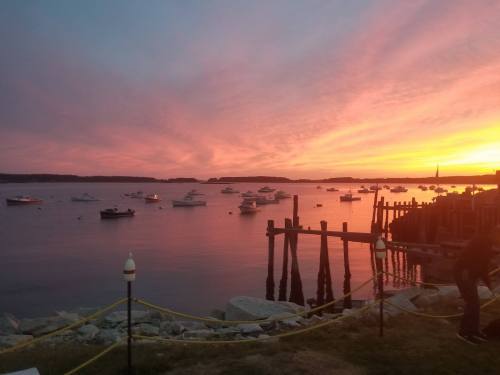 McLoons Lobster Shack Is A Popular Small Business in Maine