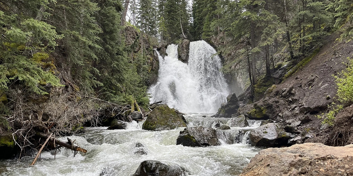 Explore One Of The Most Beautiful Waterfall Hikes In Montana