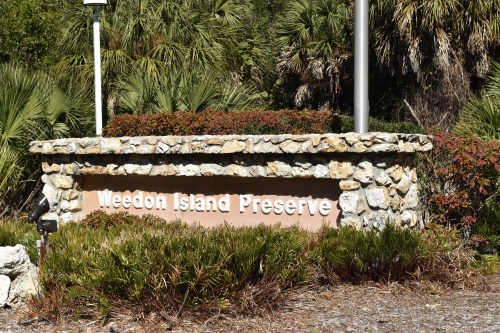 Weedon Island Preserve Trail: A Beautiful Overlook Trail In Florida