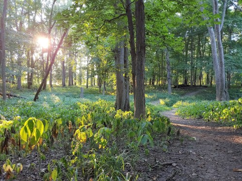 The Stunning Natural Spring In Indiana You'll Love To Explore