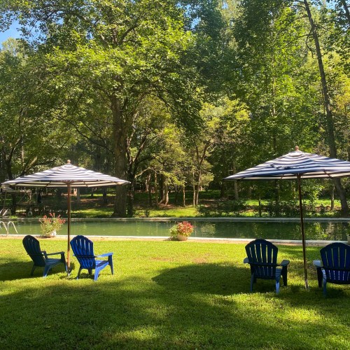 Natural Swimming Pool In Virginia: Blue Ridge Swim Club