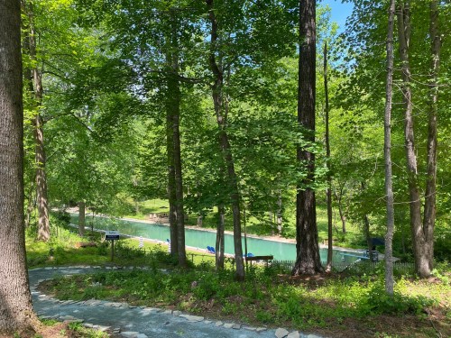 Natural Swimming Pool In Virginia: Blue Ridge Swim Club