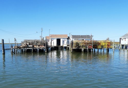 Explore Tangier Island: Virginia's Vanishing Gem