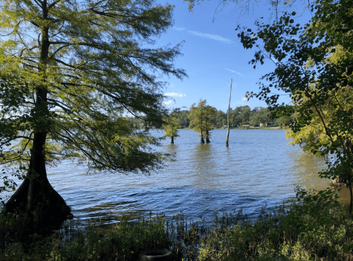 Spectacular Stay: This Lakefront Cabin in Farmerville, Louisiana