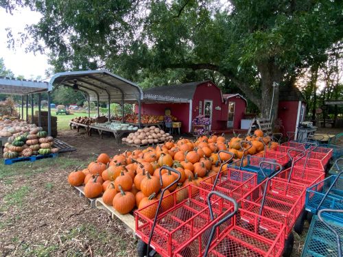 The 15 Best Things To Do In Oklahoma In The Fall