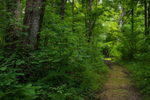 The Stunning Natural Spring In Indiana You'll Love To Explore