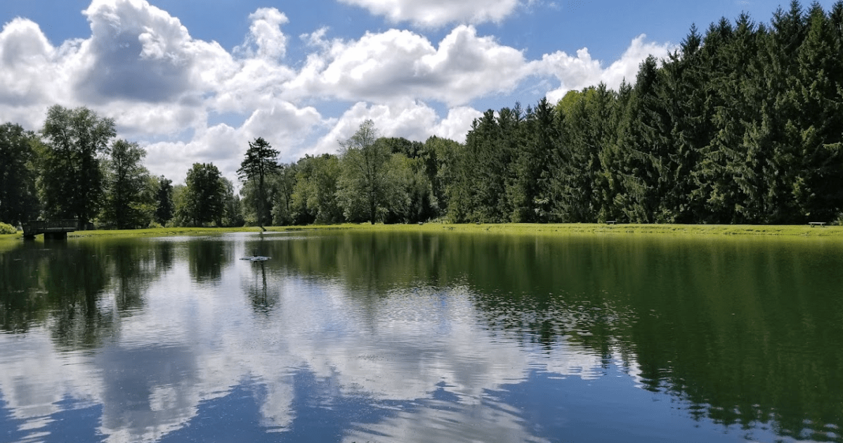 Deep Springs Trout Club: Natural Spring Water Near Cleveland