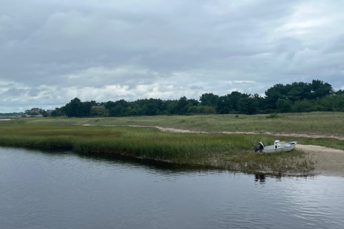 Red Snapper Hot Dogs: An Iconic Maine State Fair Tradition