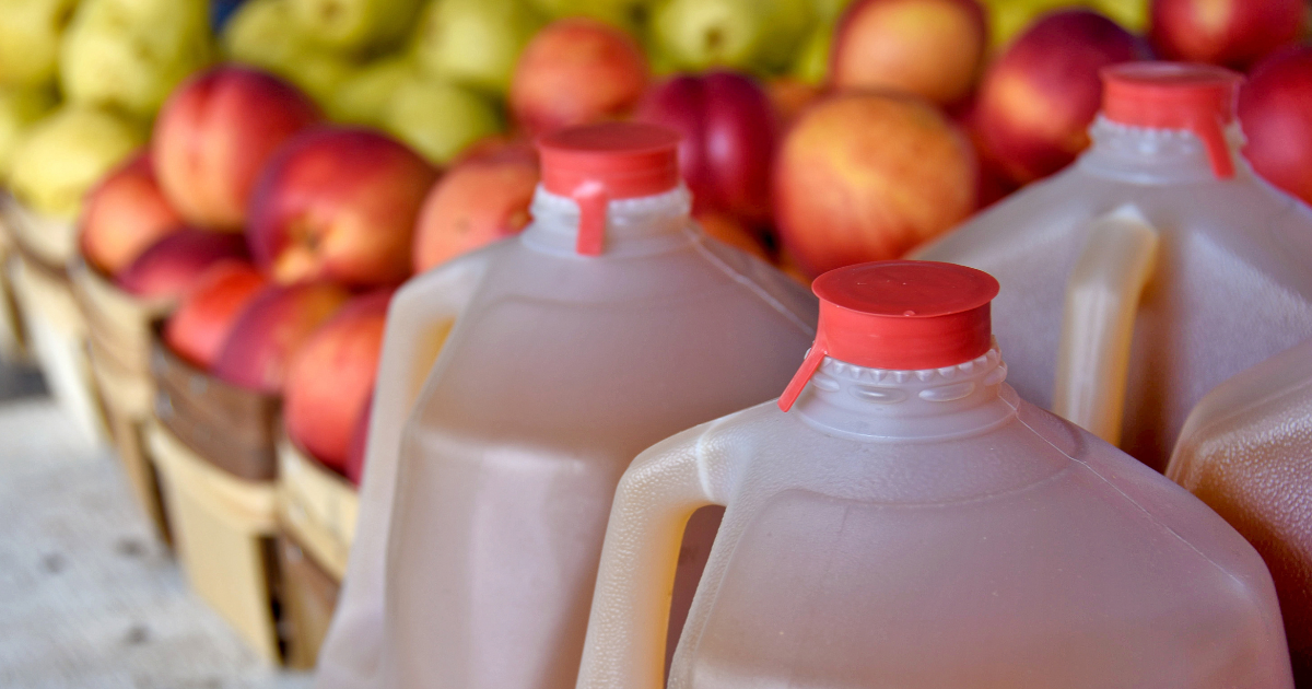 5 Best Cider Mills in Washington State To Visit This Fall
