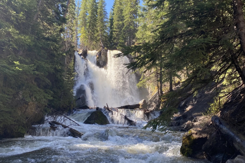 The 12 Best Hot Springs In Montana