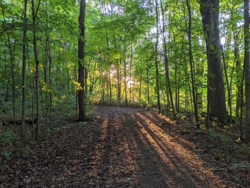The Stunning Natural Spring In Indiana You'll Love To Explore