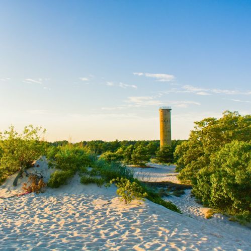 Visit This Family-Friendly Park In Delaware For Summer Fun