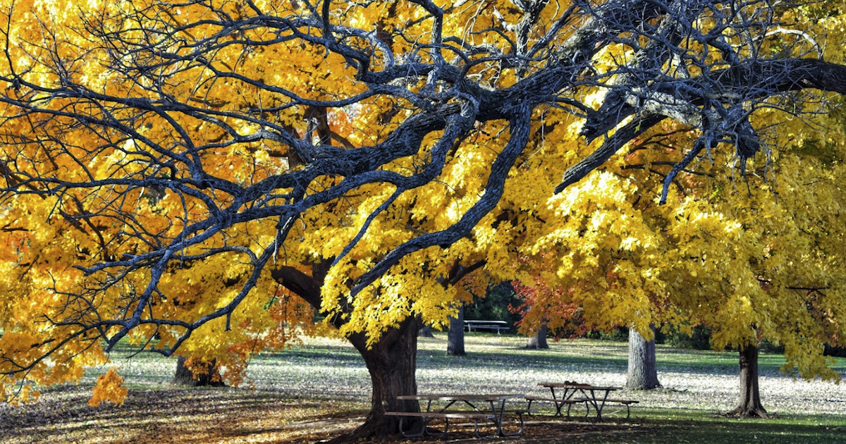 Your Ultimate Guide To Fall Attractions And Activities In Nebraska