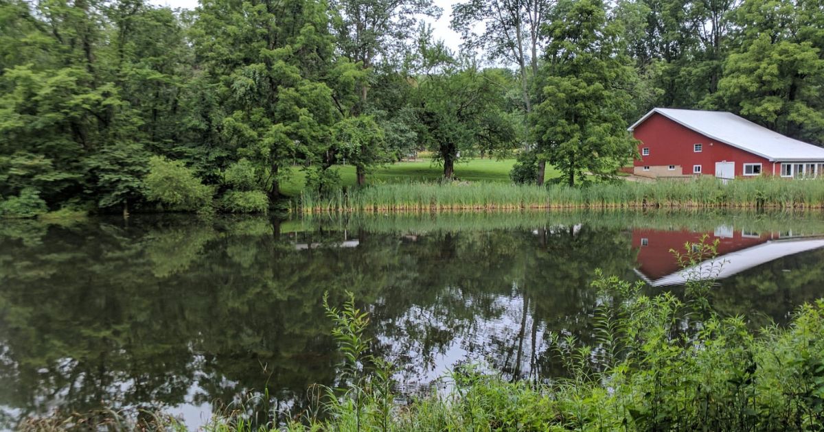 The Audubon Center In Indiana Where You’ll See More Than 12 Bird ...