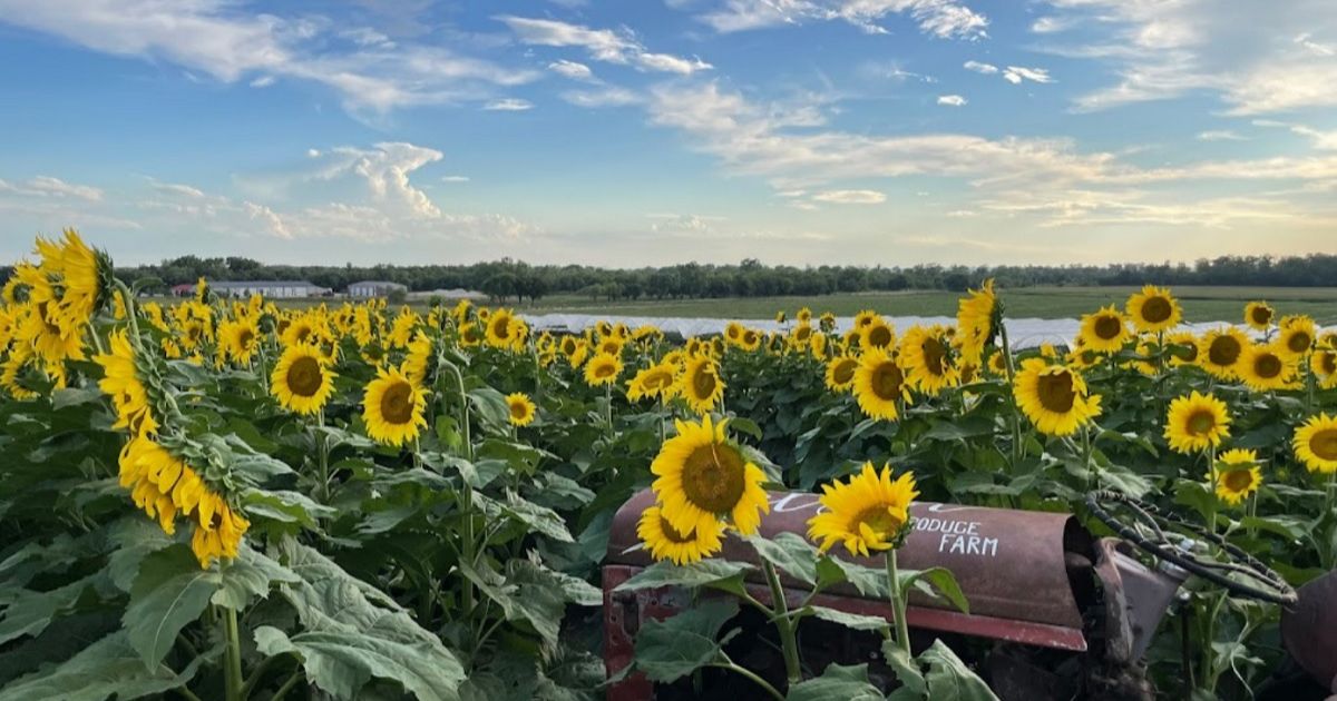 Live It Up This Summer With This Nebraska Summer Bucket List