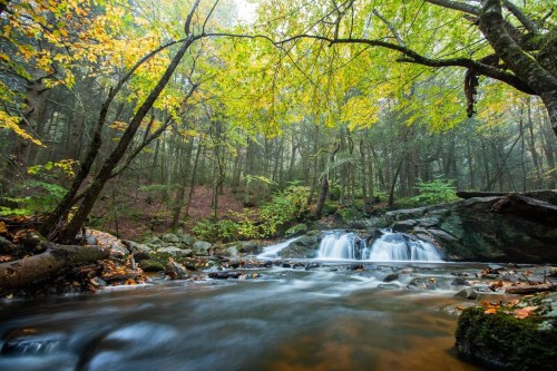 The 15 Best Things To Do In Connecticut This Fall