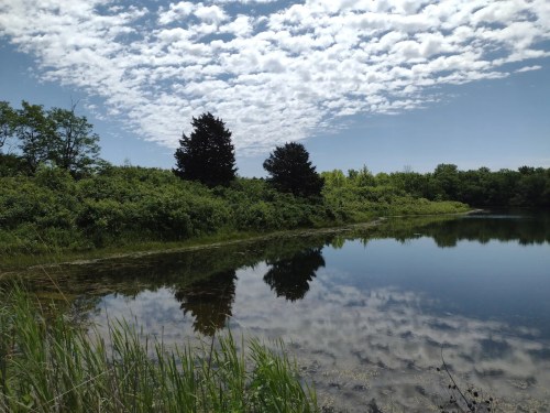 Prairie Center Park Loop: Lake Trail In Olathe, KS