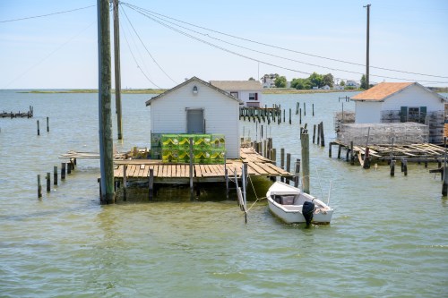 Explore Tangier Island: Virginia's Vanishing Gem