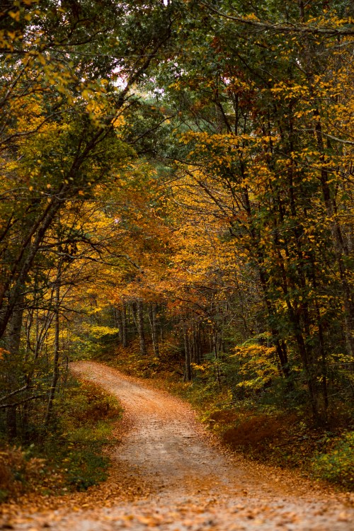 The 15 Best Things To Do In Rhode Island In This Fall