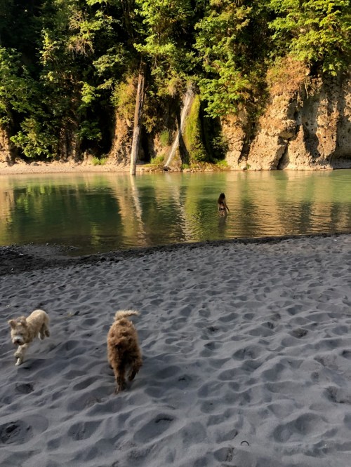 The Sandy River: Oregon's Perfect Lazy River