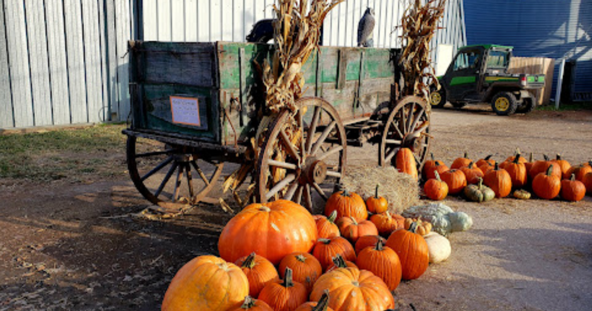 Top Fall Activities in Kansas: Foliage, Pumpkin Patches & Festivals