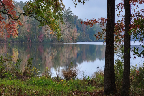 Most Iconic Attraction in Georgia: Savannah Riverboat Cruises