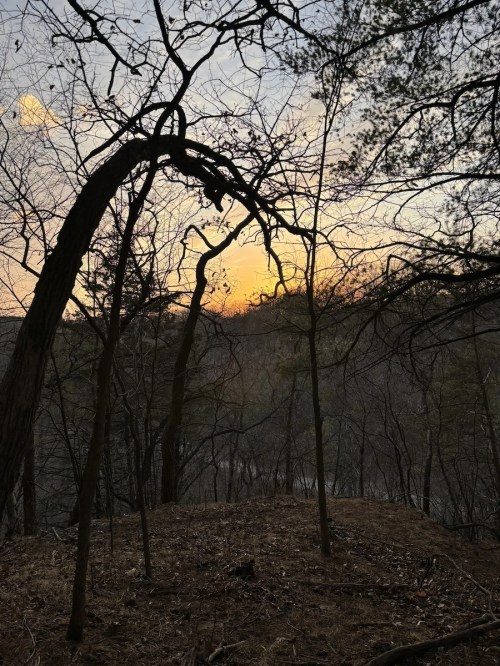 Decorah's Twin Springs Park Has A Secret Waterfall In Iowa