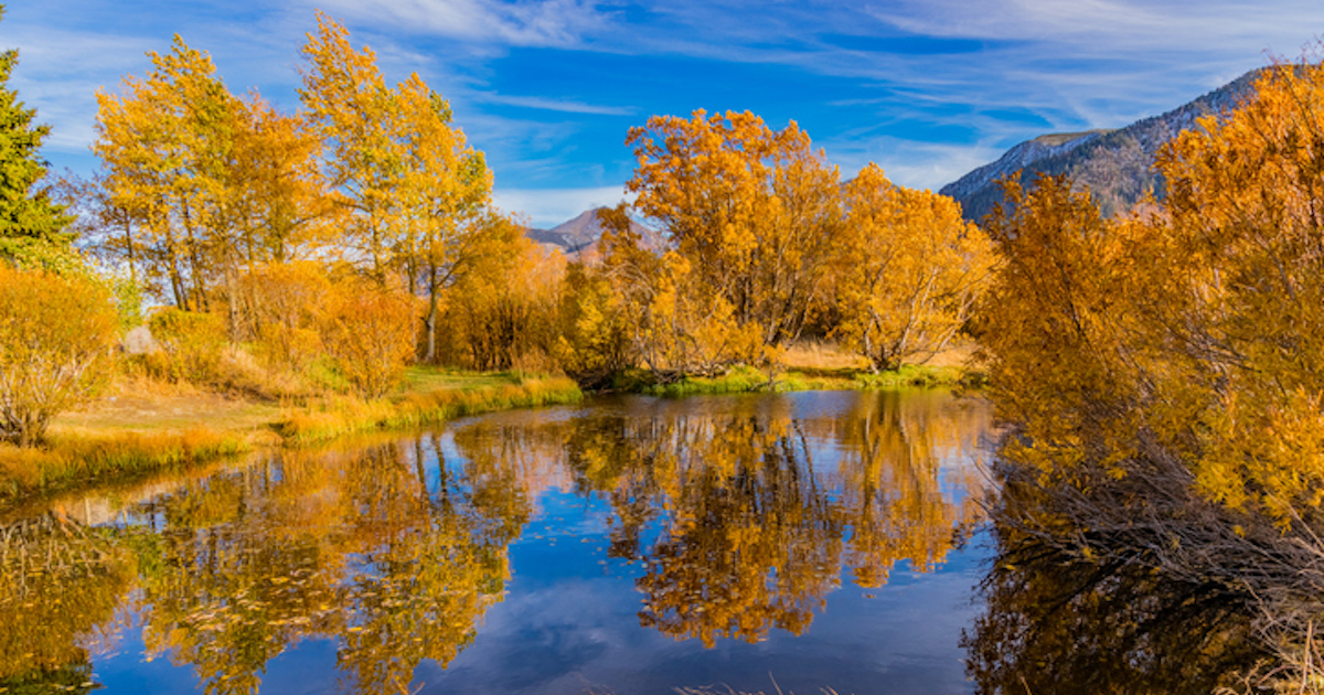 The 16 Best Things To Do In Northern California In This Fall