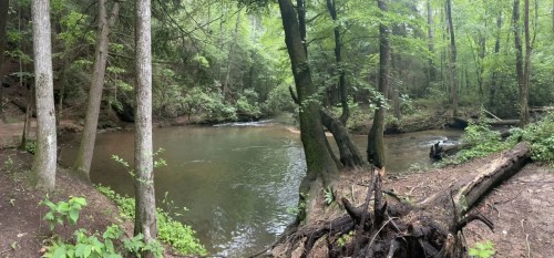 Explore the Challenging Wildcat Creek Loop Trail in Georgia